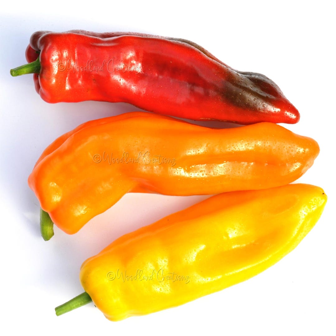Palermo Pepper Seeds (30+) - Sweet Peppers - Red, Orange, Yellow - Etsy