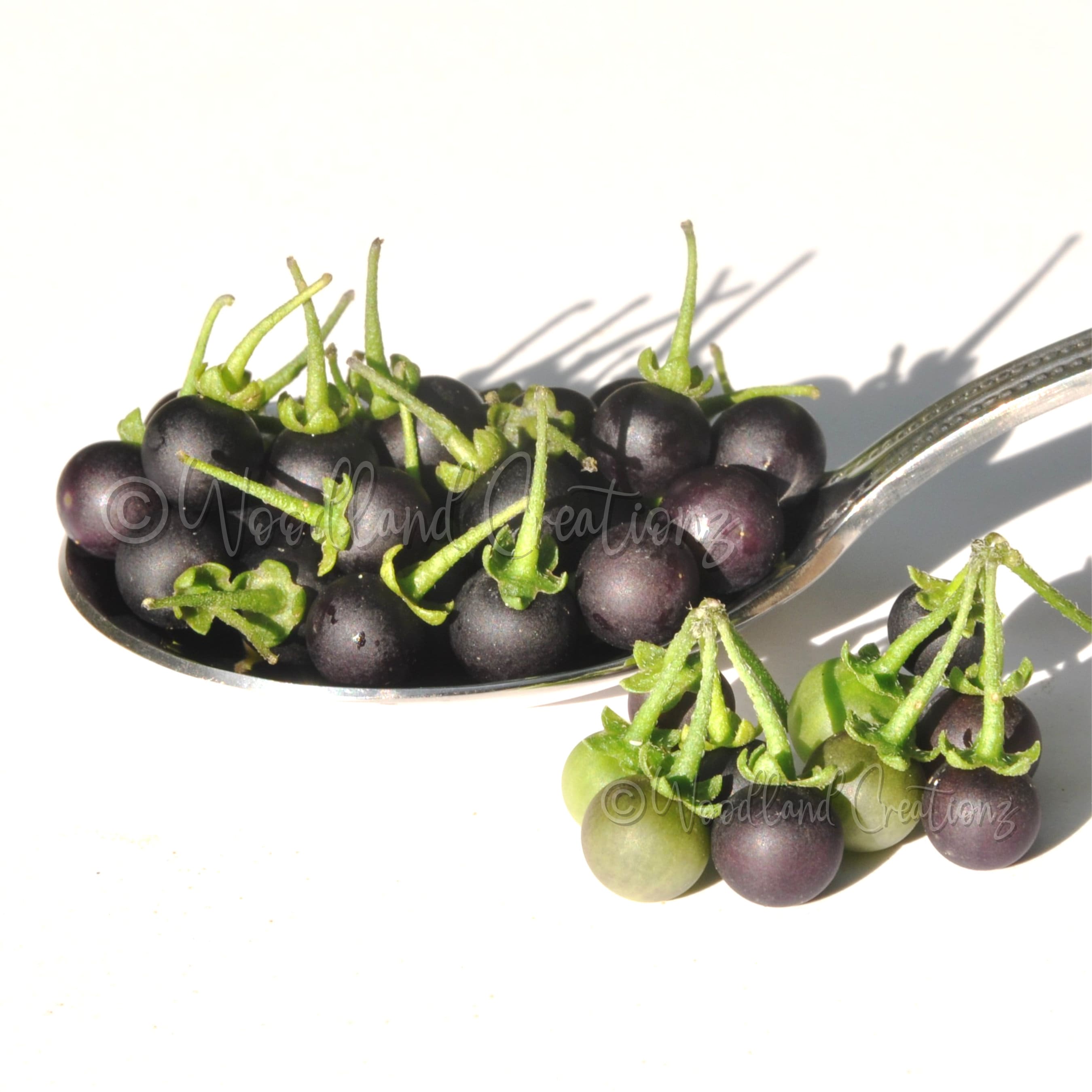 Sunberry - Wonderberry - Rare Fruit - Sweet Berries - Dark Fruits ...