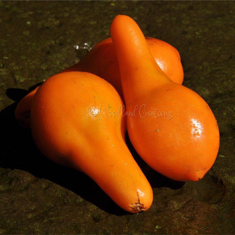 Pear - Etsy