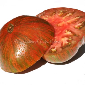 Girl Girl's Weird Thing Tomato Seeds - Heirloom Beefsteak - Etsy