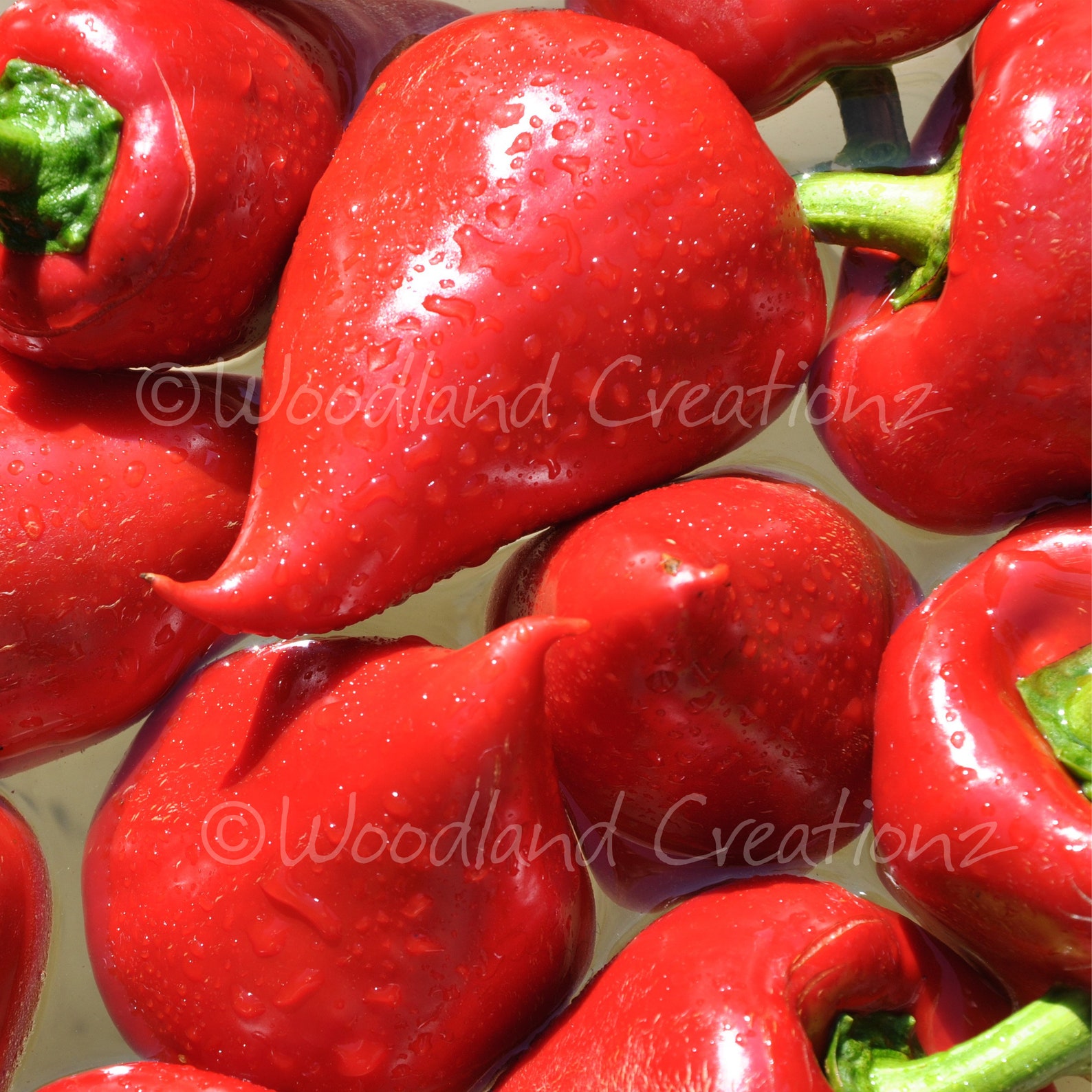 Lesya Pepper Sweet Pepper Seeds Rare Pepper Seeds Sweet - Etsy