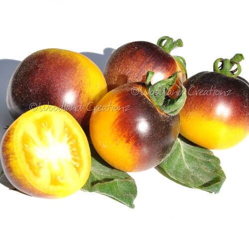 Striped speckled Roman Heirloom Tomato Premium Seed Packet - Etsy