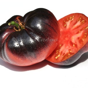 Pink Siberian Tiger Tomato Seeds - Beefsteak Tomato Seeds - Rare ...