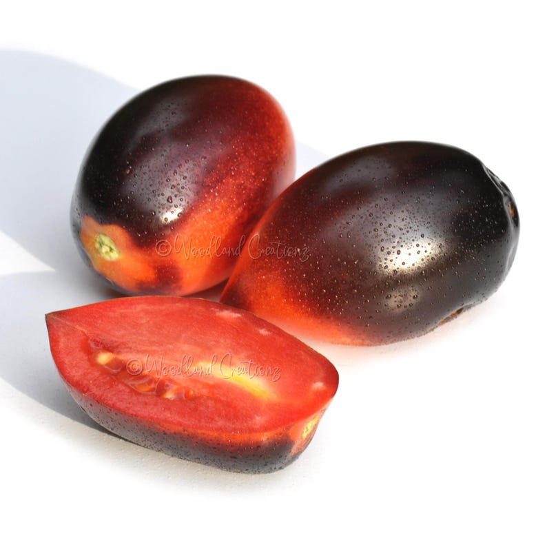 Midnight Roma Tomato Seeds - Dark Paste Tomato - High Anthocyanin - Etsy