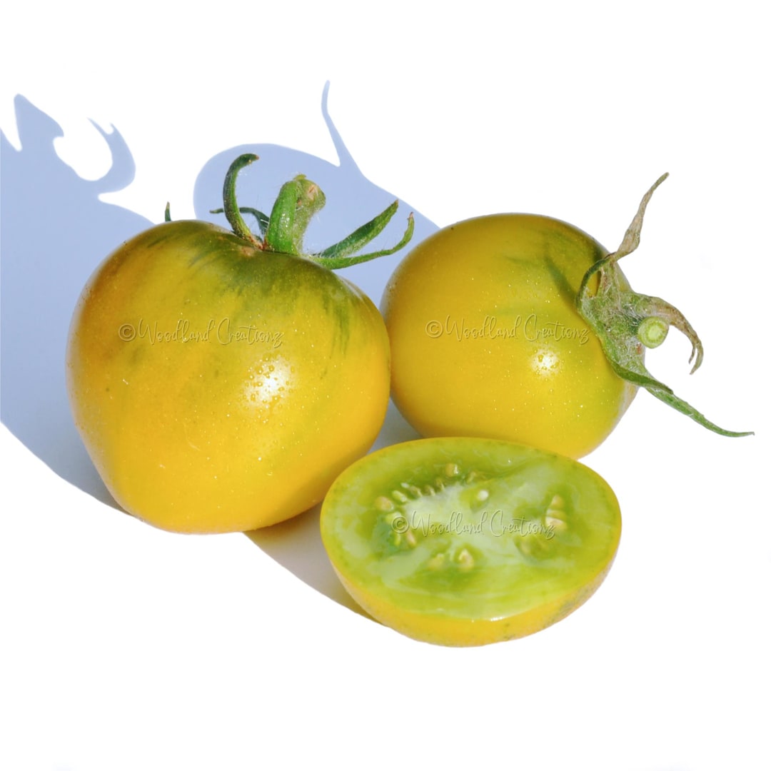 Limelight Tomato Seeds - Micro Dwarf Tomato Seeds - Sweet Green Tomatoes - Green When Ripe ...