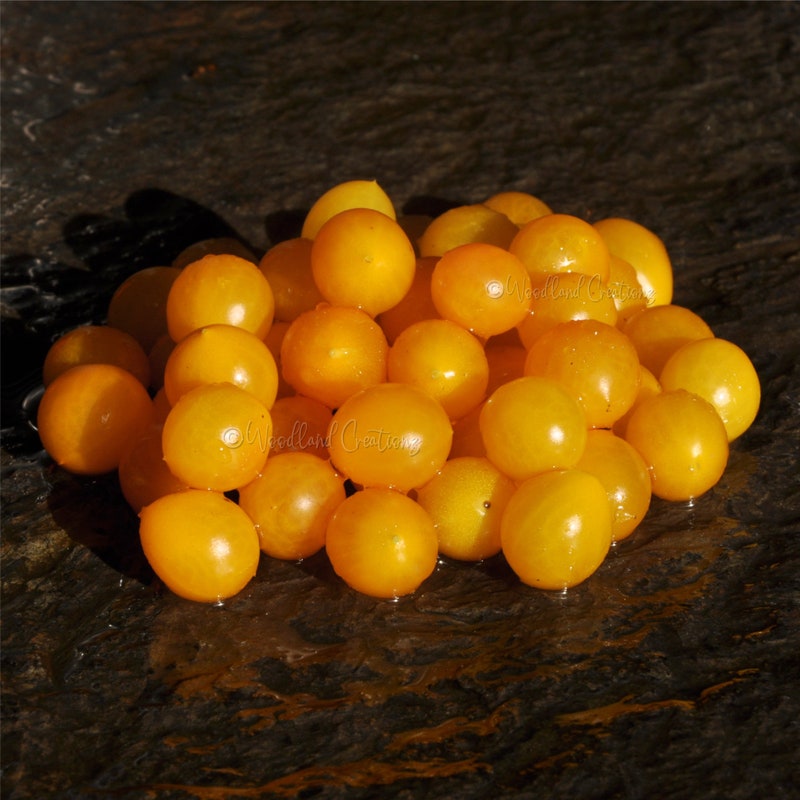 WoodlandCreationz - Etsy