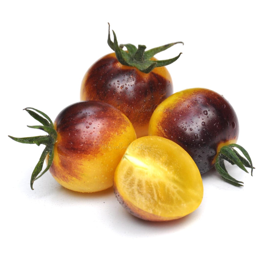 Cosmic Purple Rain Cherry Tomato Seeds - Rare Variety (20 Seeds) - Etsy