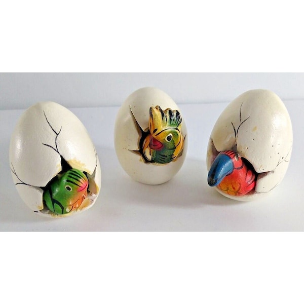 Exotic Hatching Eggs - Etsy