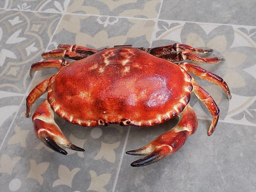 Cast Iron Crab Sculpture: Hand-painted Trinket Box, Nautical Decor ...
