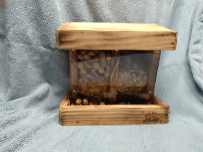 The Original Nut & Seed Combo Feeder - Etsy