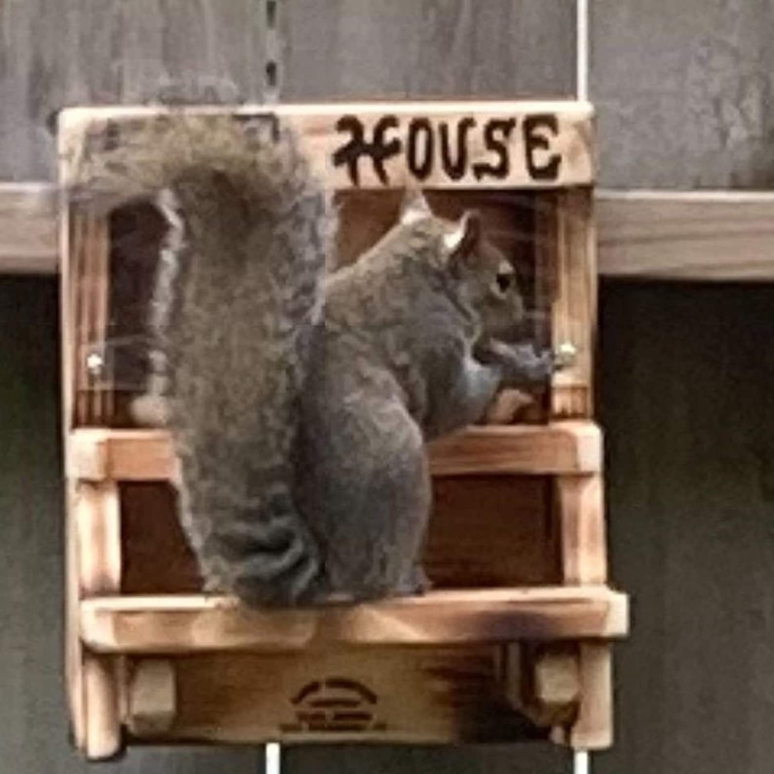 The Original Squirrel Nut House Feeder - Etsy