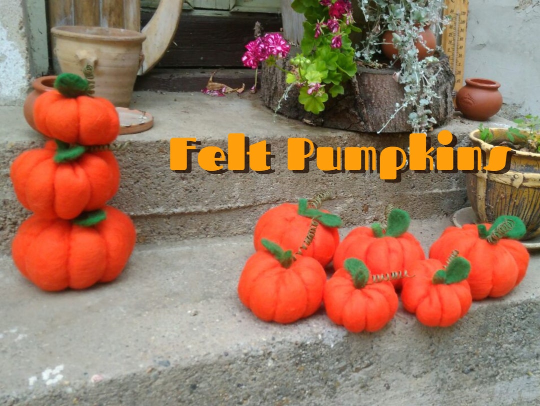 Pumpkin Photo Props for Newborn and Baby Photography, Thanksgiving ...