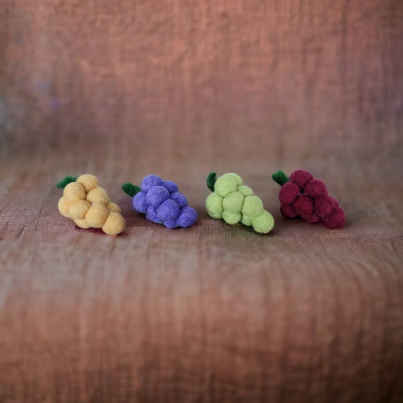 Handmade Wool Felt Grapes – Pretend Play Food, Montessori Toy - Etsy
