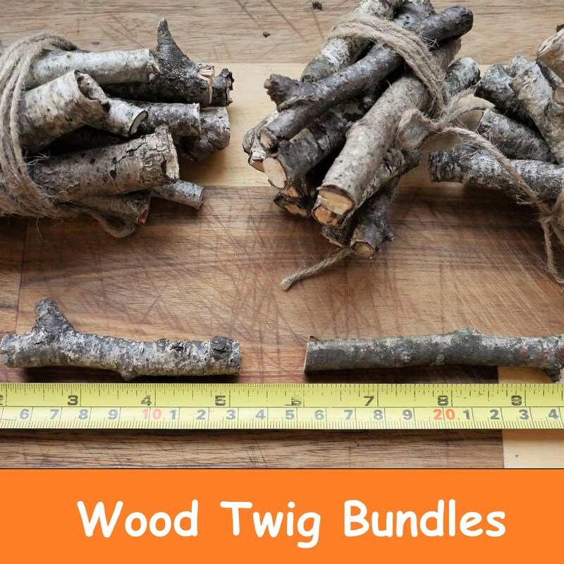 Twig Bundle - Etsy