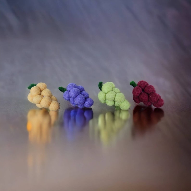 Handmade Wool Felt Grapes – Pretend Play Food, Montessori Toy - Etsy