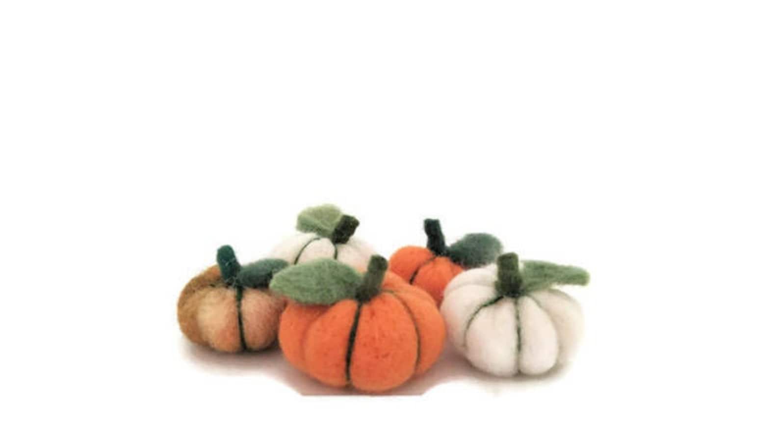 Needle Felted Pumpkins, Handmade Merino Wool Fall Decor, Set of 5cm - Etsy