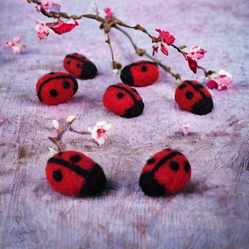 Felt Ladybug - Etsy