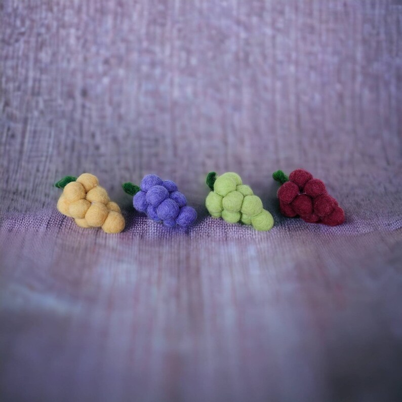 Handmade Wool Felt Grapes – Pretend Play Food, Montessori Toy - Etsy