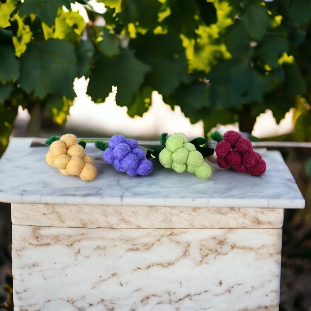 Handmade Wool Felt Grapes – Pretend Play Food, Montessori Toy - Etsy