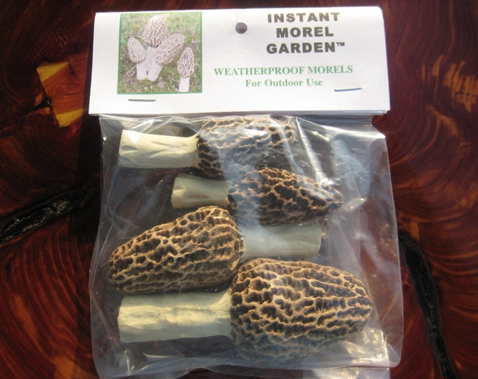 Handmade Morel Mushrooms for Landscape & Garden. Real Looking Morels ...