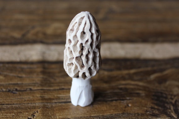 1 Morel Mushroom for Landscape & Garden. 3 Inches Tall. Large | Etsy