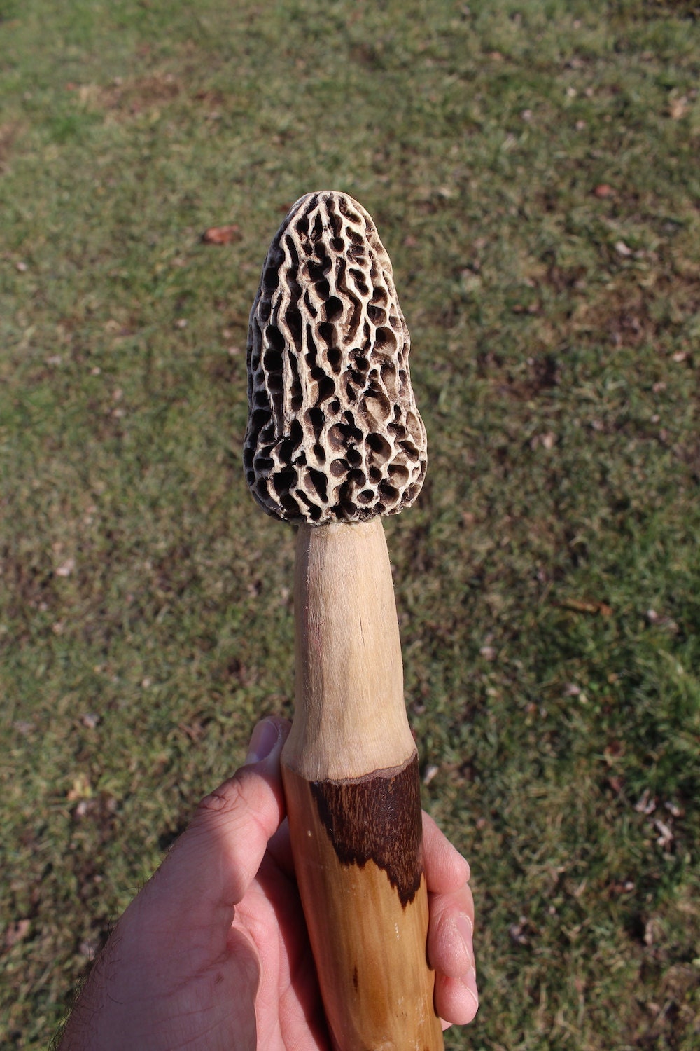 Hiking Stick With a Morel Mushroom Top. Real Looking Morel - Etsy