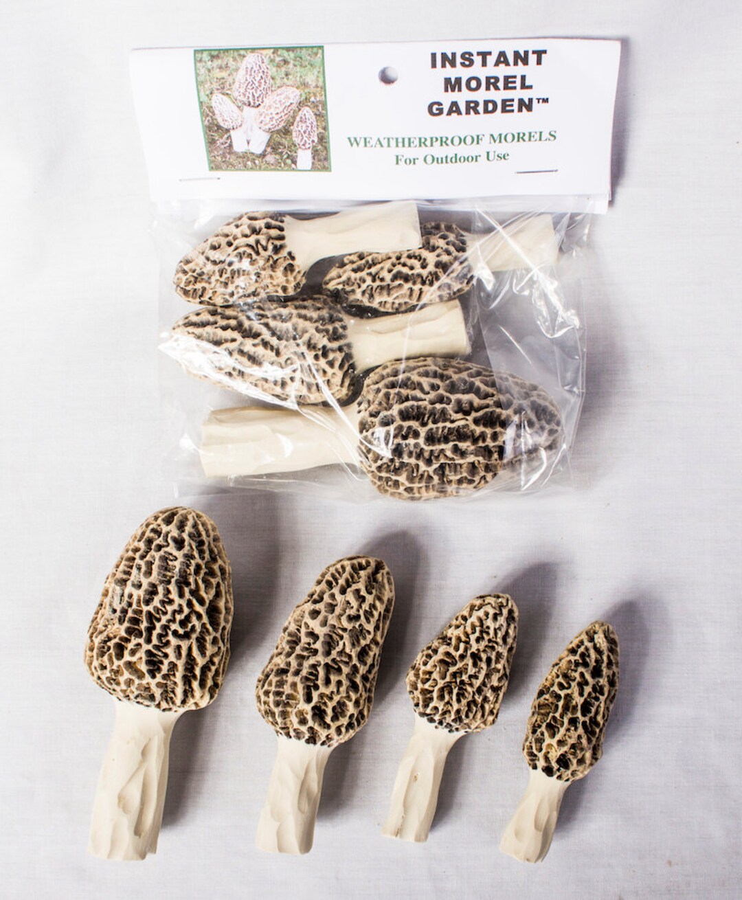 Morel Mushrooms for Landscape & Garden. Real Looking Morels ...