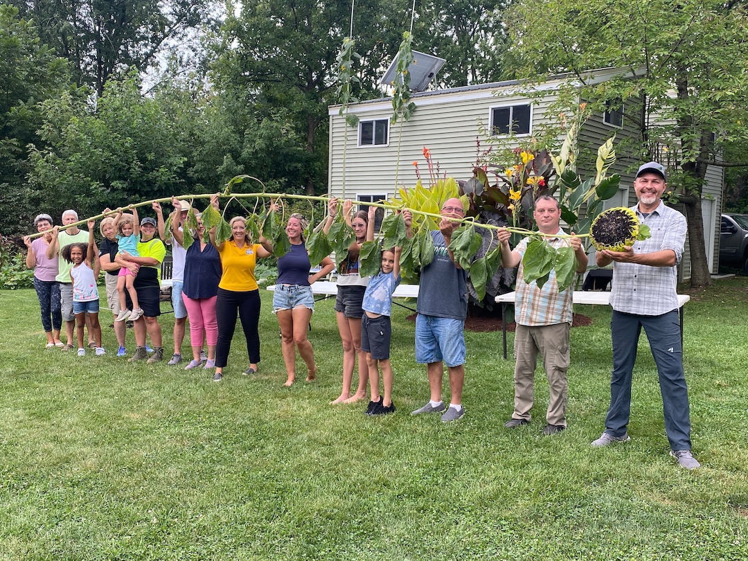 Official USA Record Tallest Sunflower Seeds From 26 Foot, 1 Inch "kyiv ...