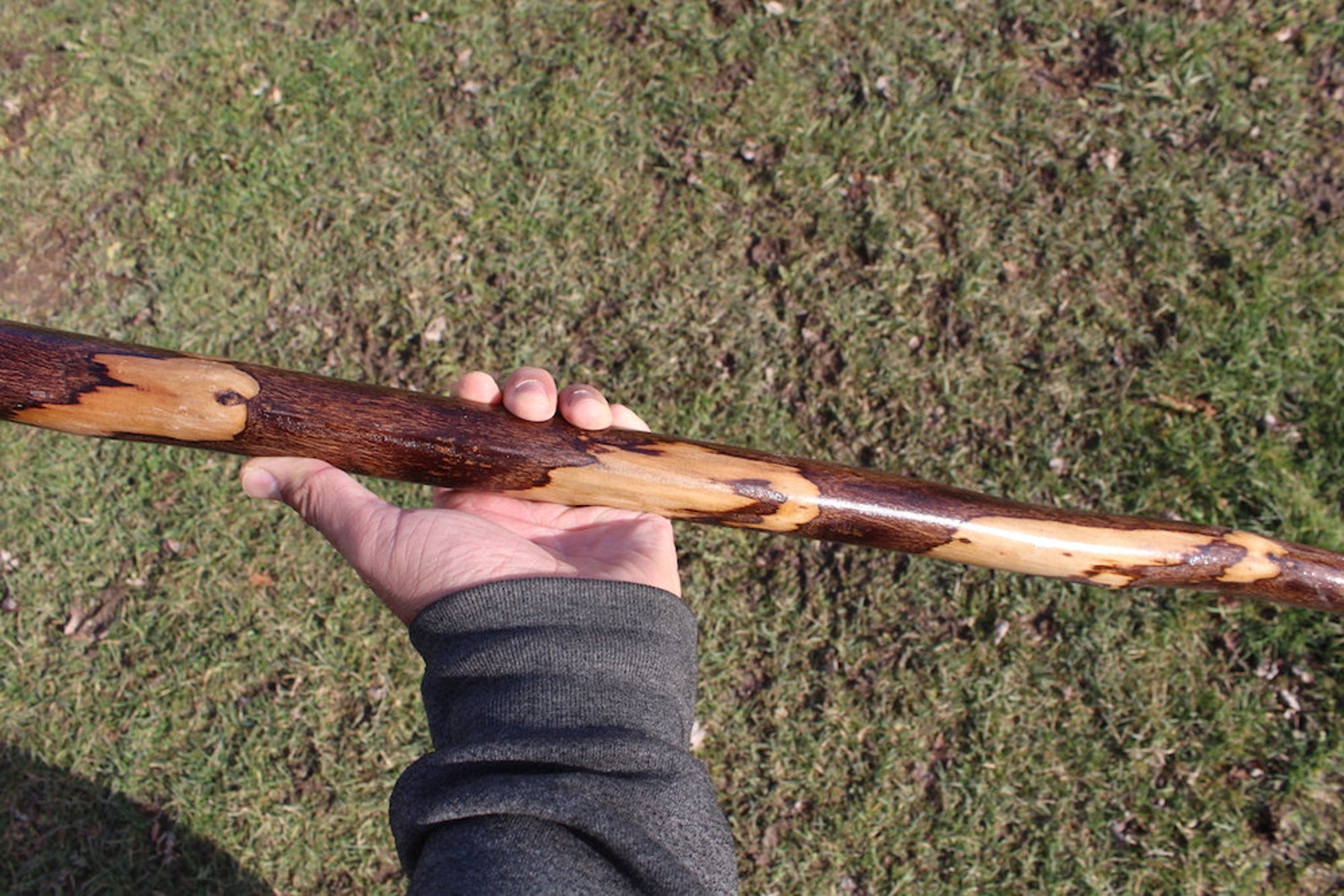 Hiking Stick With a Morel Mushroom Top. Real Looking Morel - Etsy