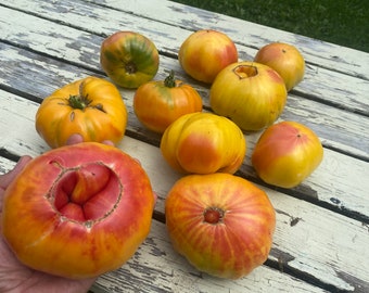 Pineapple Tomato Seeds Organic Heirloom Variety 30 Seeds - Etsy