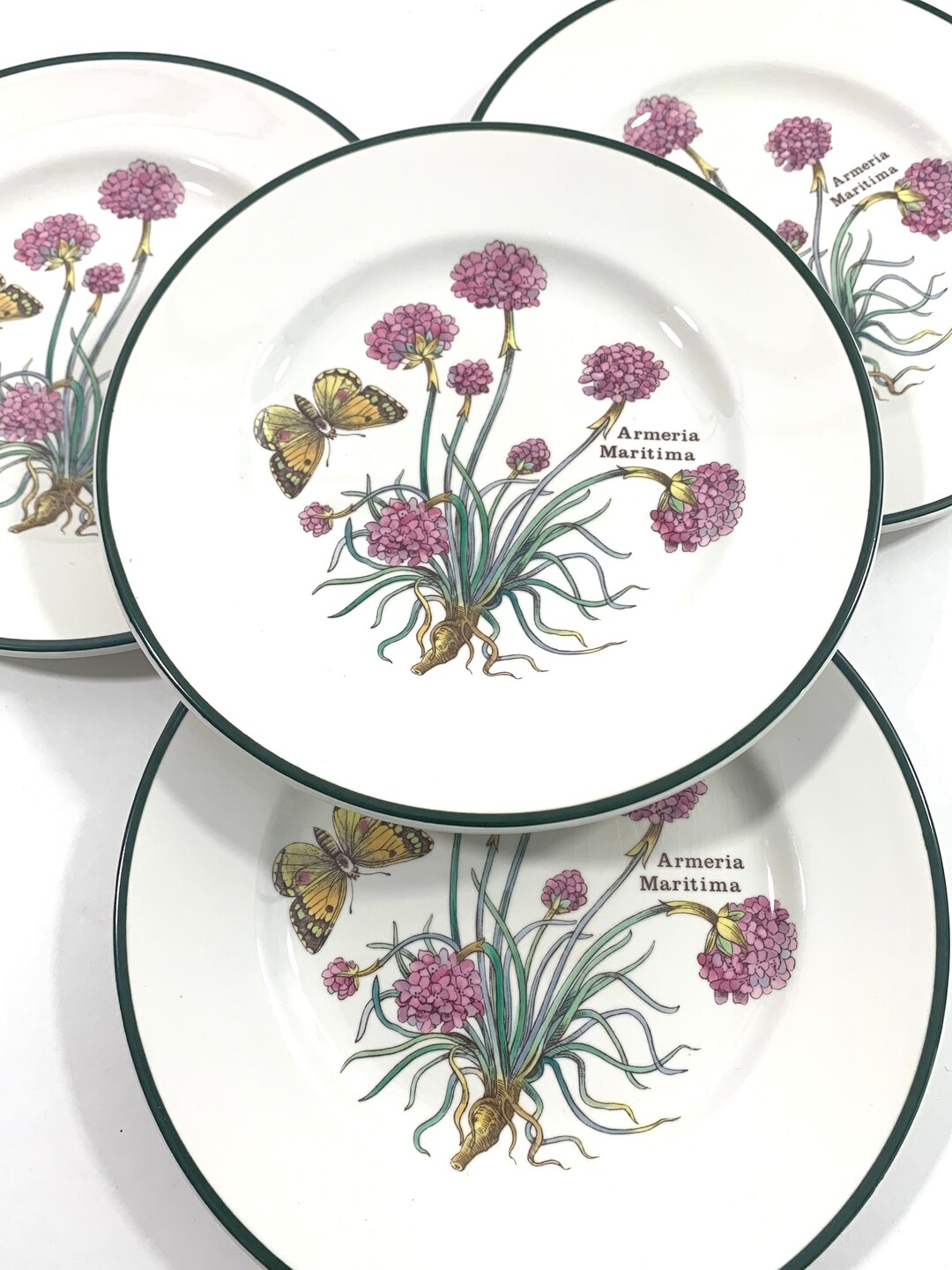 Prinknash Pottery Florabunda Dessert Bread Plates Armeria - Etsy