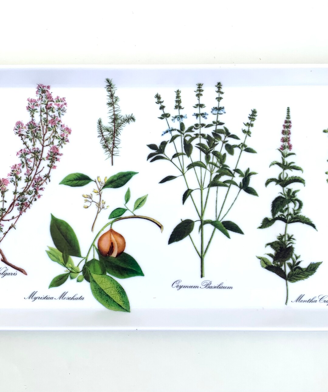 Melamine Floral Flowers Tray Design Imports Italian Melmac Serving Tray ...