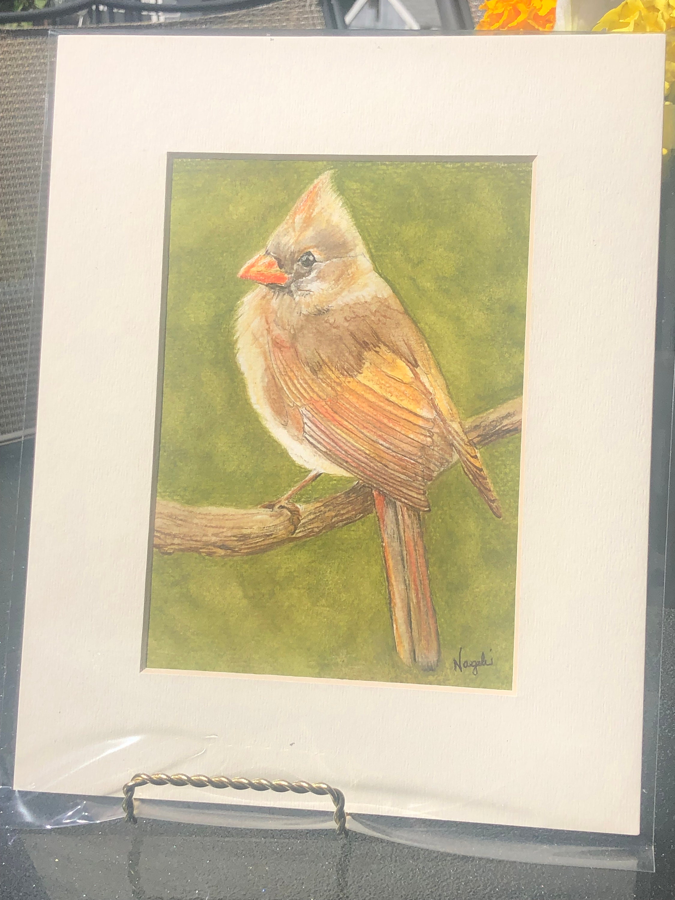 Cardinal Original Art, Watercolor Colored Pencil, Cardinal, Matted Art ...
