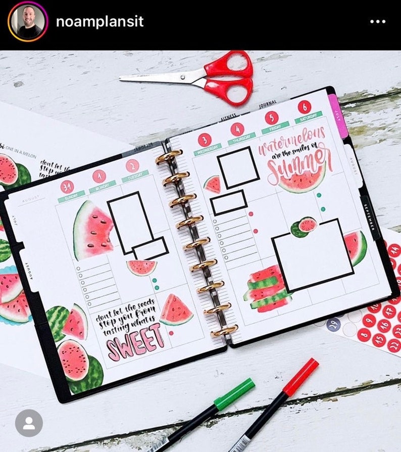 Printable Planner Stickers: WATERMELON Stickers, Fruit Stickers, Summer ...
