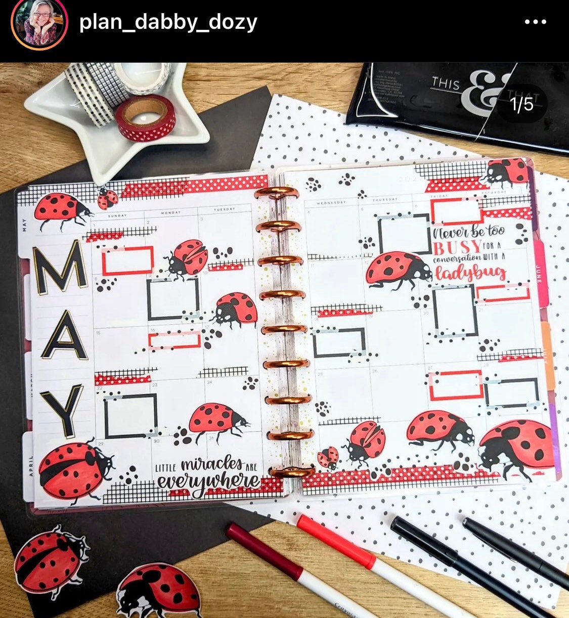 Printable: LADYBUGS Black and Red Dotted Cute Bugs Planner Stickers for ...