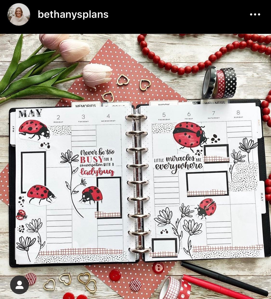 Printable: LADYBUGS Black and Red Dotted Cute Bugs Planner - Etsy