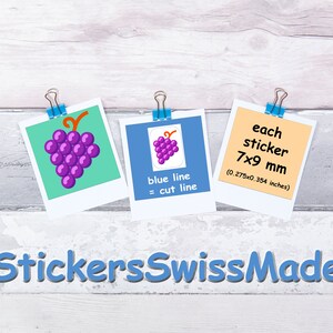 PLANNER STICKER Grapes Food Fruit Small Colored - Etsy