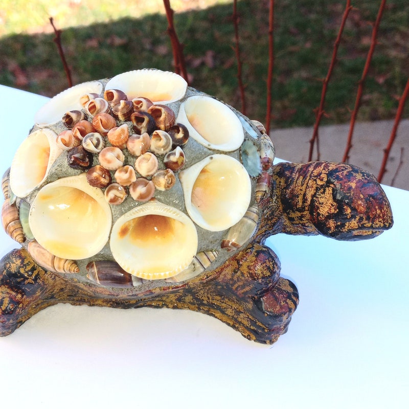 Turtle Art Made of Shells - Etsy