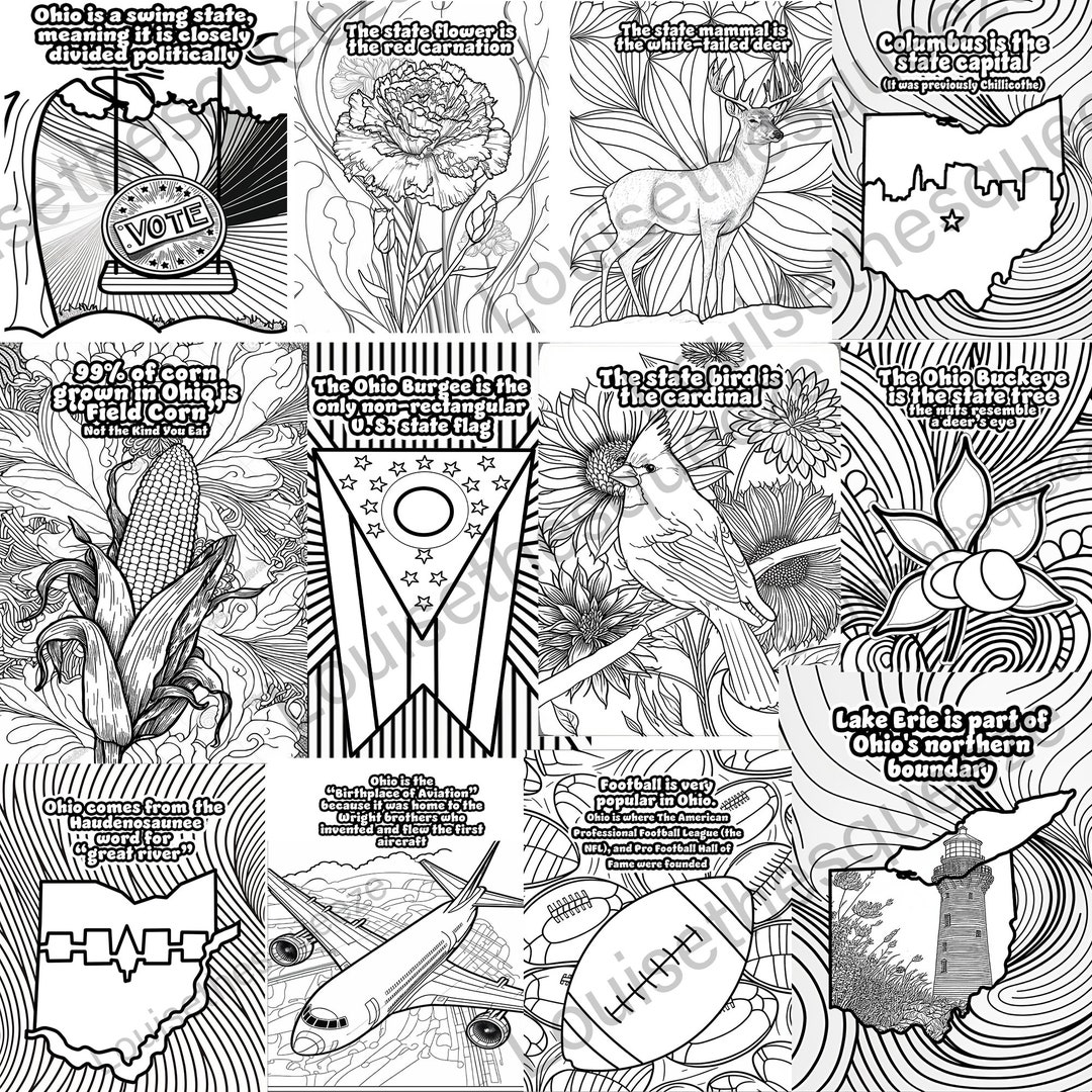 Ohio Fun Facts Coloring Book Pages (12 Unique Pages) | PDF Download - Etsy