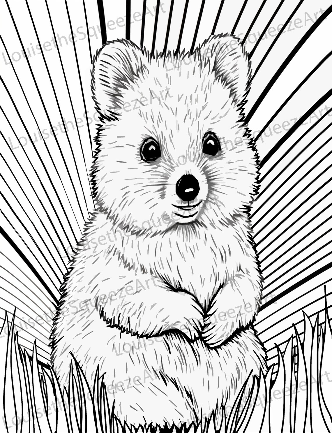 Variety Pack Of Cute Animal Coloring Book Pages 11 Unique Pages PDF Variety Pack Of Cute Animal Coloring Book Pages 11 Unique Pages PDF