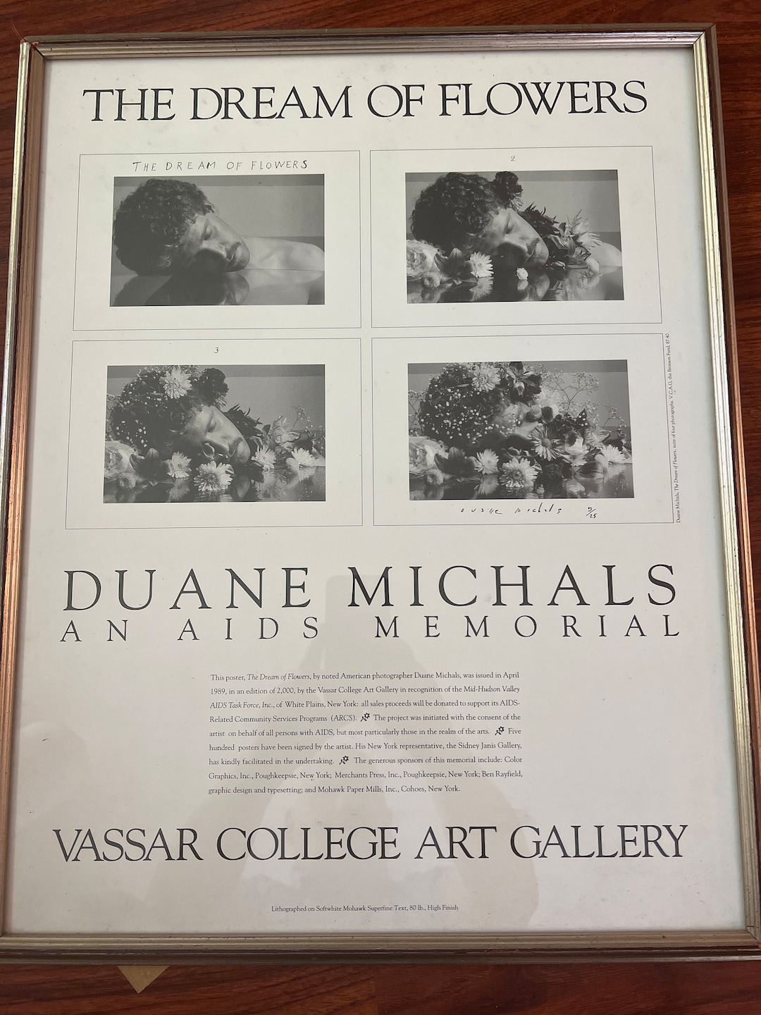 The Dream of Flowers an AIDS Memorial Poster 3 of 25 Limited by Duane ...