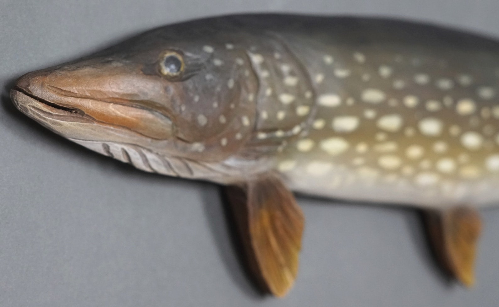 Eco-friendly Fishing Gift Northern Pike Painted and Carved by - Etsy Canada
