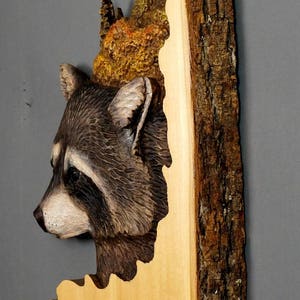 Raccoon Hand Carved on Wood With Pines and Natural Bark, Basswood ...