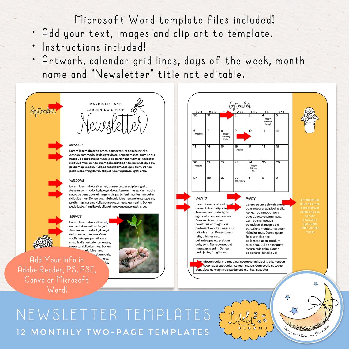 Newsletter Templates, 12 Months, Two Pages, Edit in Adobe Reader ...