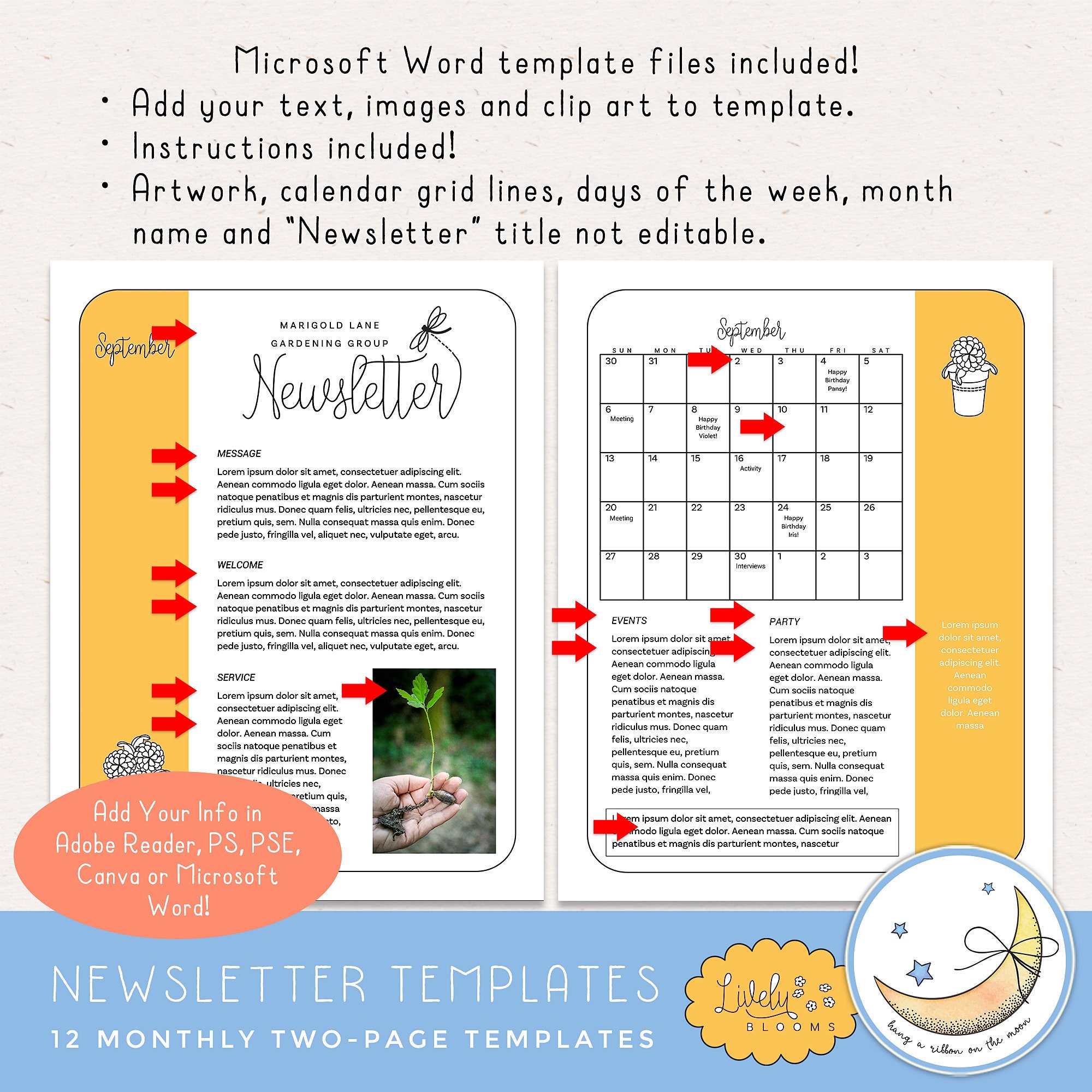 Newsletter Templates, 12 Months, Two Pages, Edit in Adobe Reader ...