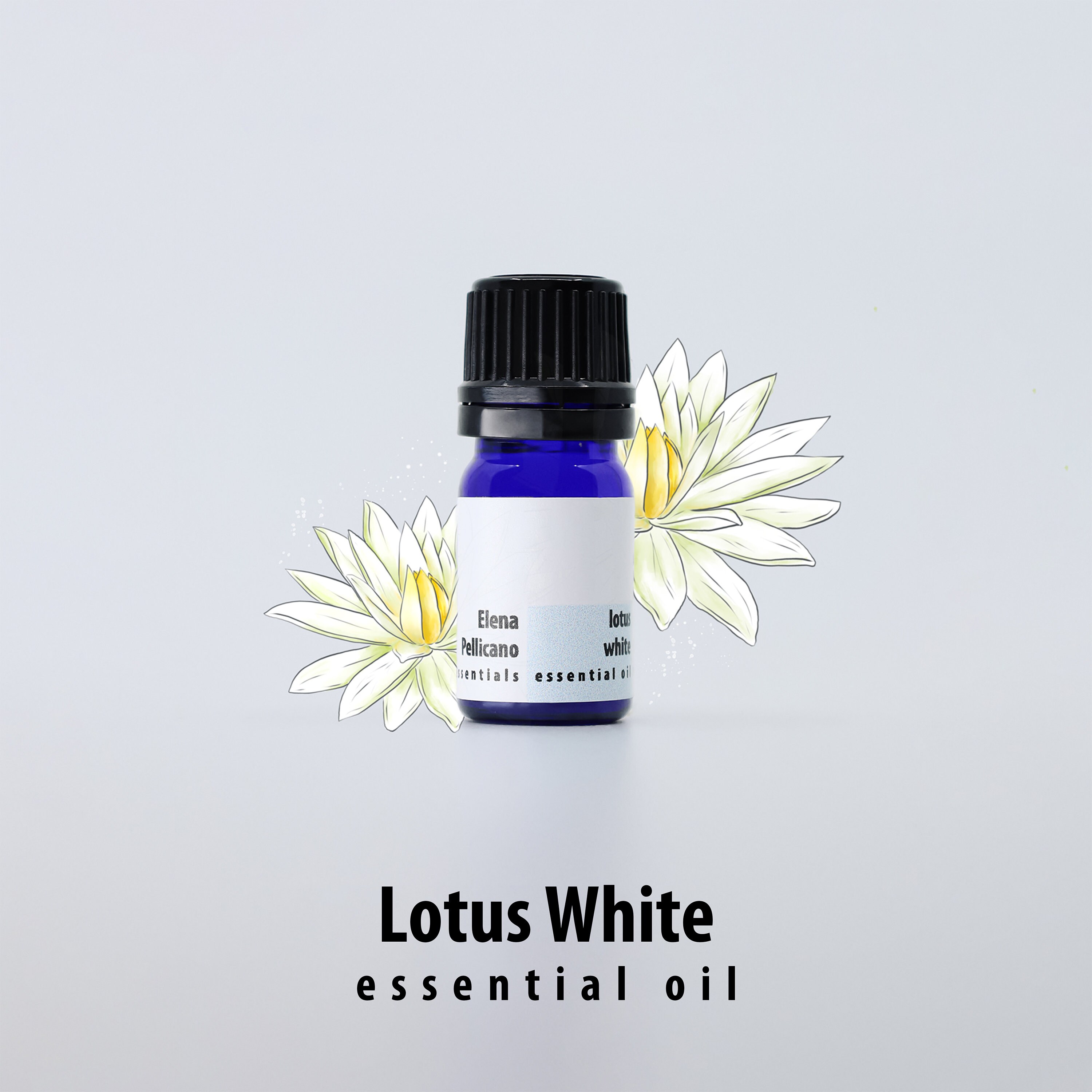 White Lotus Essential Oil, 100% Pure, Indian Essential Oil for ...