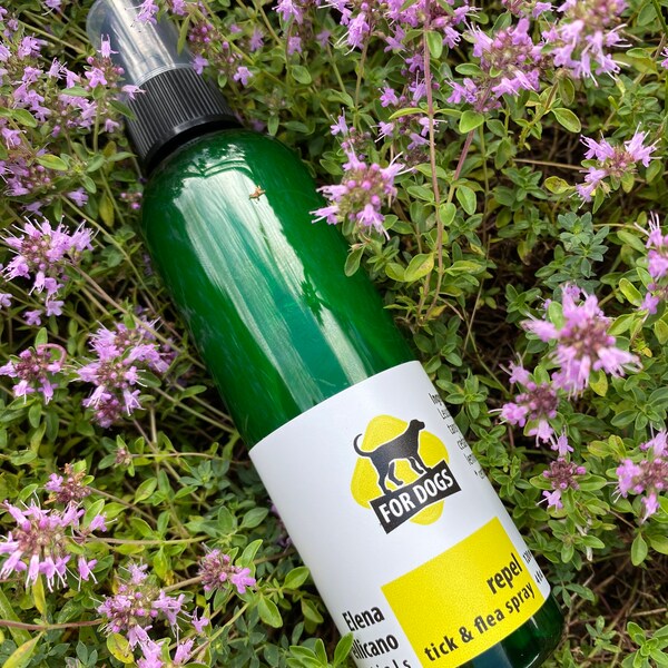Dog Spray - Etsy