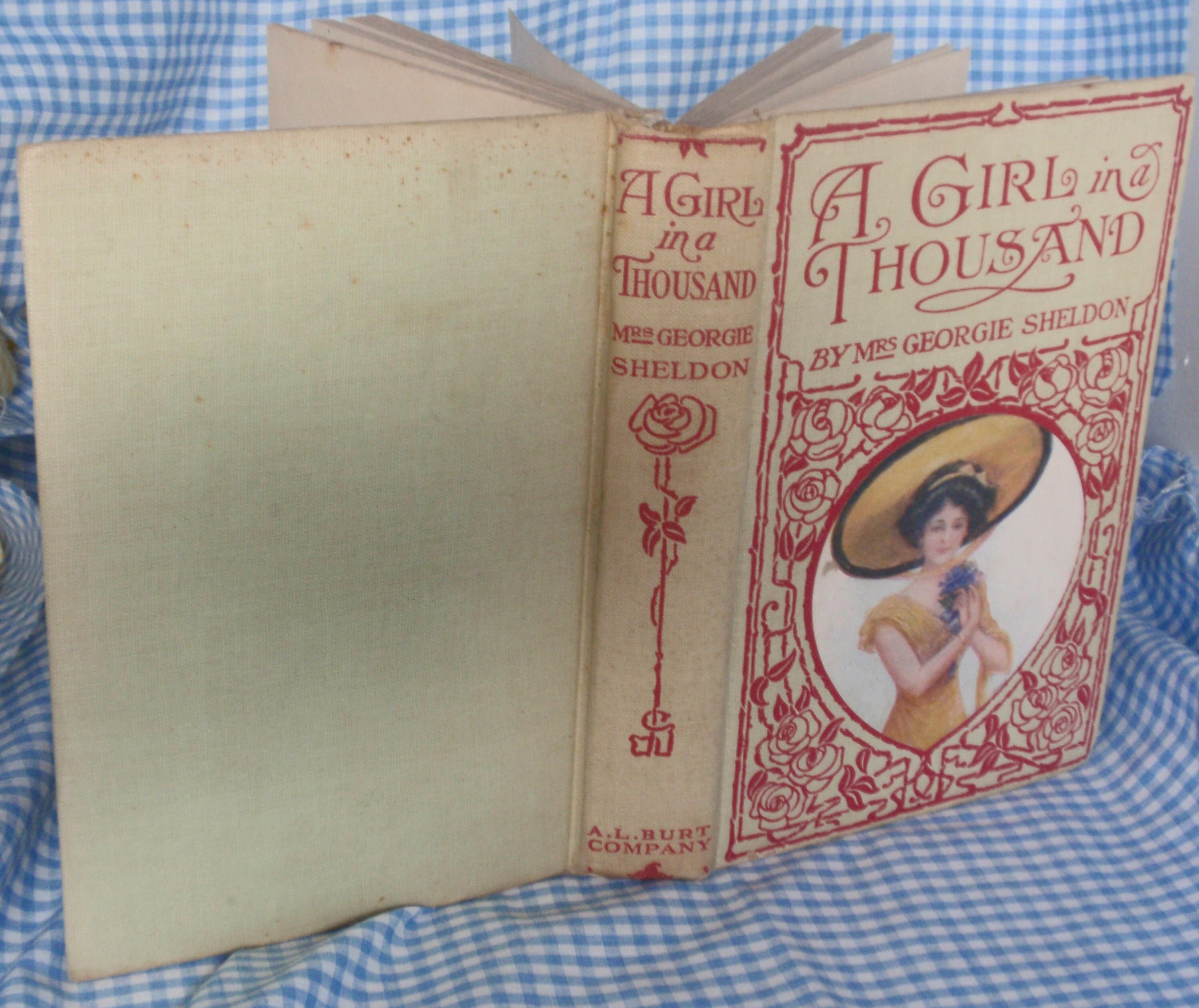 Vintage Book: A Girl in Ten Thousand, Illustrated Cover, 1898 Edition ...