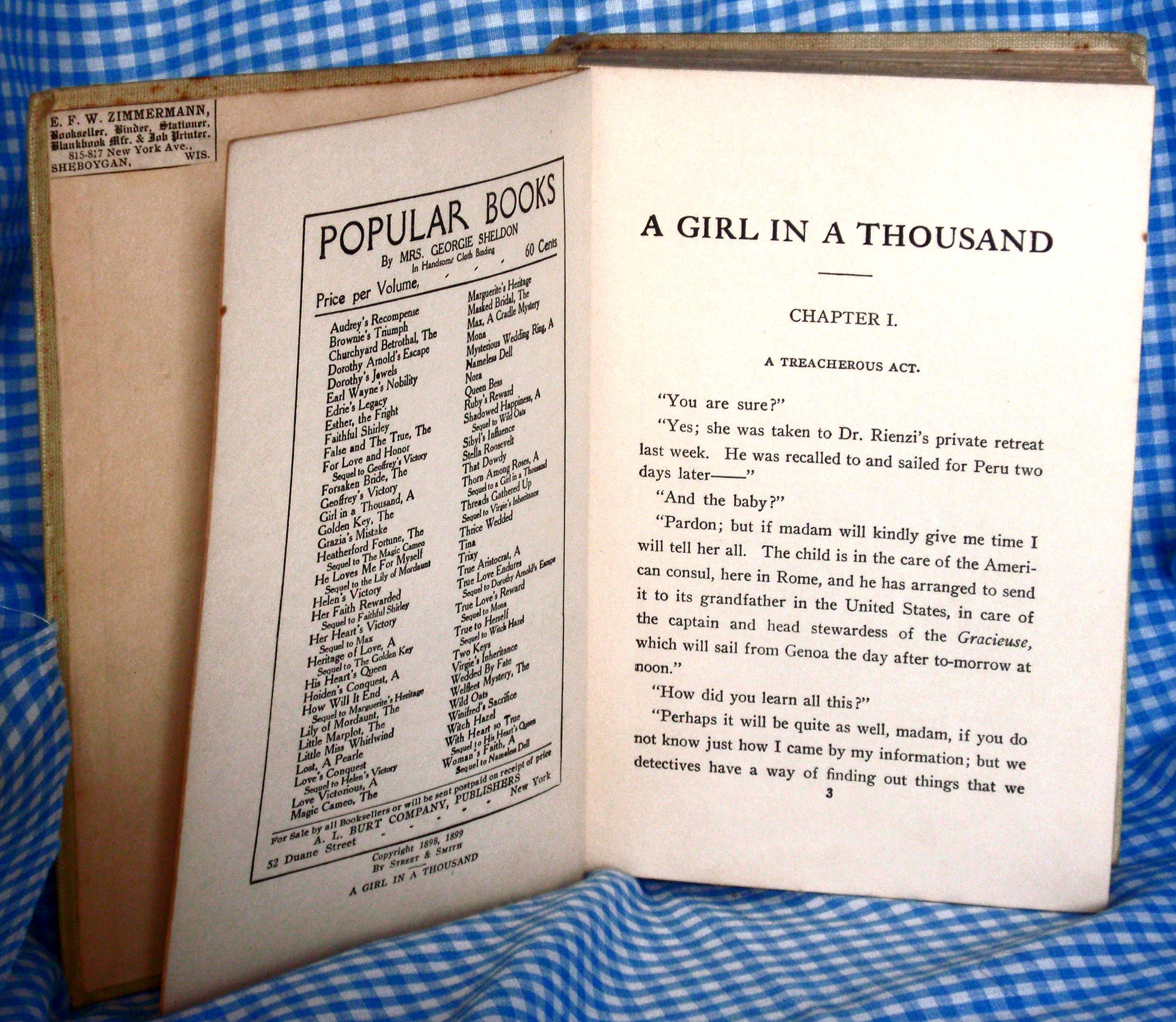 Vintage Book: A Girl in Ten Thousand, Illustrated Cover, 1898 Edition ...