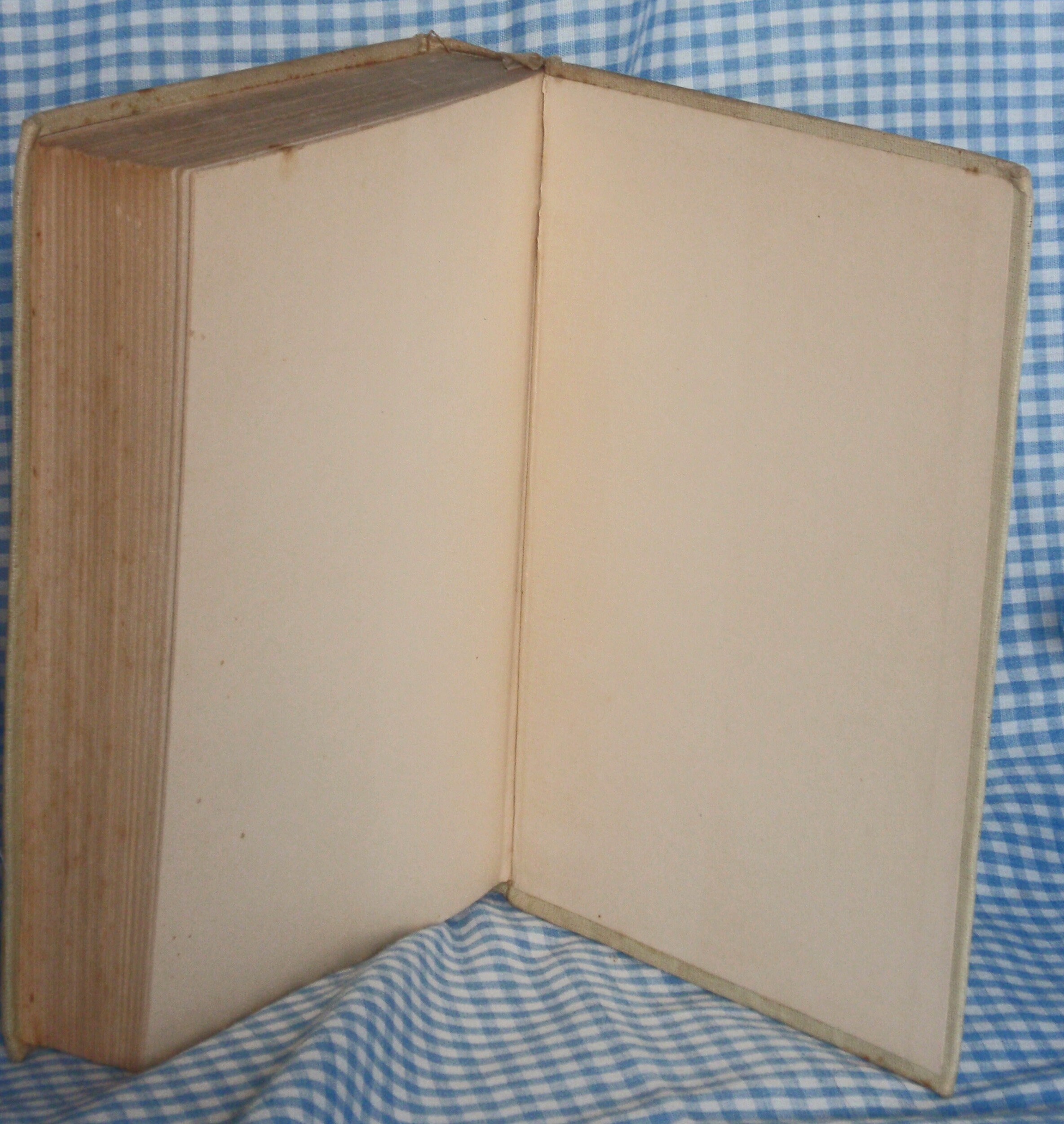 Vintage Book: A Girl in Ten Thousand, Illustrated Cover, 1898 Edition ...